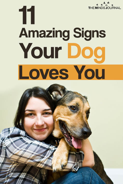 15 Proven Signs Your Dog Loves You - Minds Journal