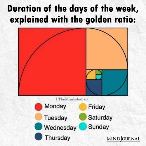 Duration Of The Days Of The Week - Interesting Facts