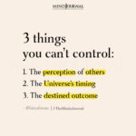 3 Things You Can't Control - Fairysforum Quotes