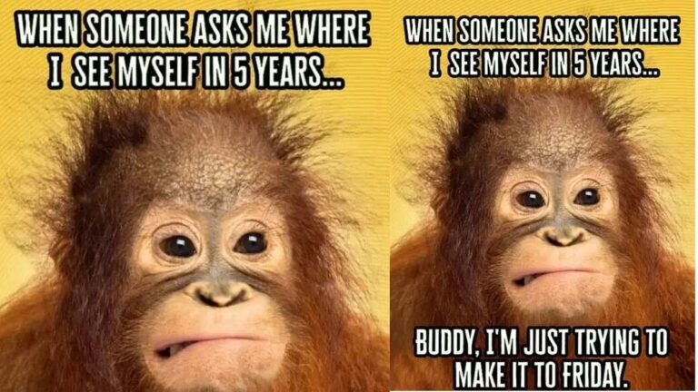 35+ Happy Friday Memes For Adults And Children Alike